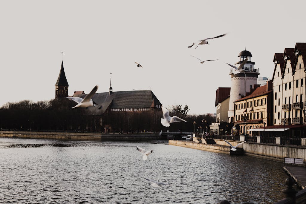 How to visit Kaliningrad in 2026: visa, access & safety